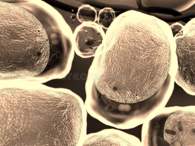 Field of fat cells stock illustration. Illustration of human - 159604141