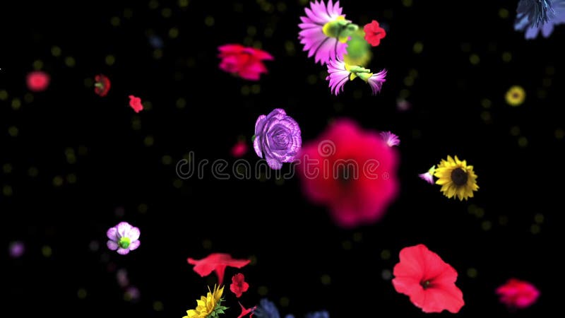 Exploding colorful flowers stock footage. Video of backgrounds - 151288932