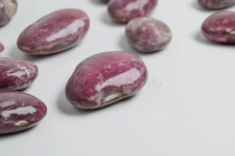 High Quality Roman Beans on a Clean White Background with Sharp Details ...