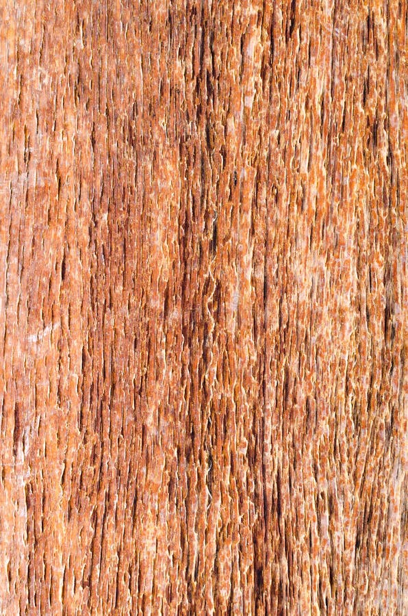 High Quality Surface Stone Texture and Background Stock Photo - Image ...