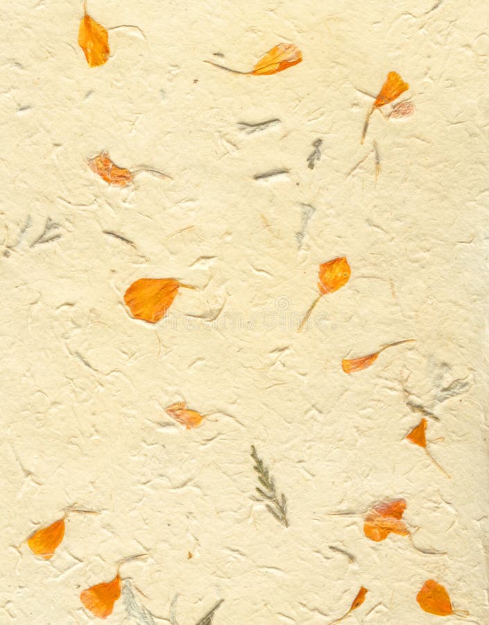 High Quality Textured Paper Background Stock Photo - Image of paper ...