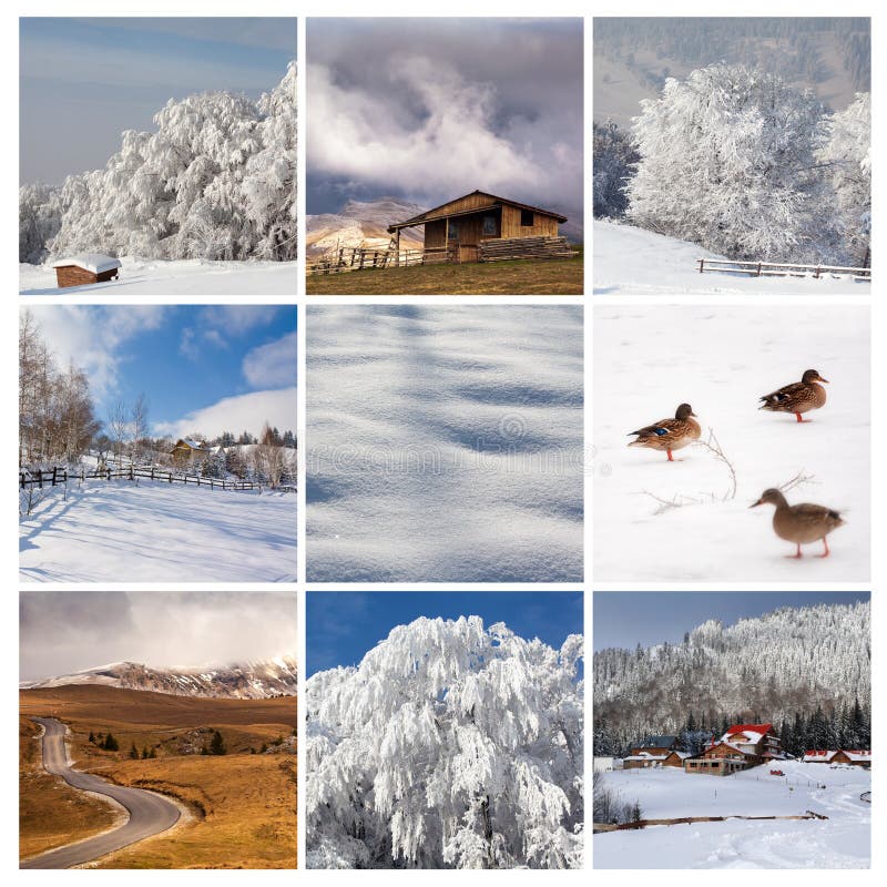 High Quality Winter Collage Stock Photo - Image of season, freeze: 35097264
