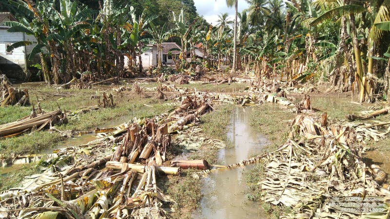 High Rainfall, Impact of Flash Floods Stock Image - Image of 2022, high ...