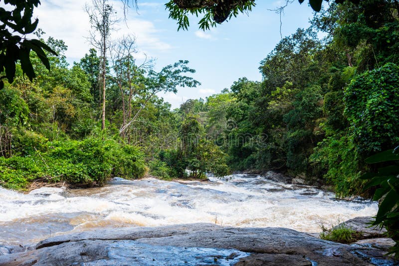 Flooding River Rushing Forest Heavy Rain Storm Stock Photos - Free ...