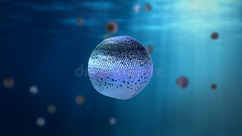 High res 3d fish ball stock illustration. Illustration of skin - 84180676
