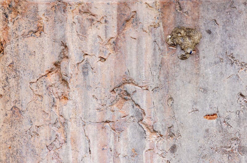 High Res Pale Pink Marble Texture Background Column Close Up in Natural ...