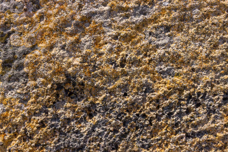 High Res Rich Intense Gradient Yellow, Black and White Old Weathered ...