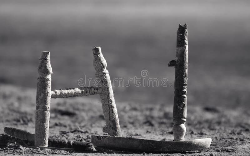 High-resolution Black and White Photograph Featuring a Pile of Sticks ...