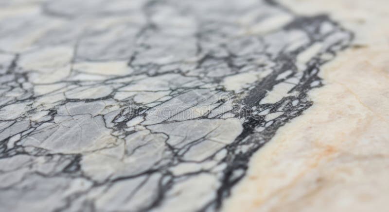 Close-up of Gray and Cream Marble Texture Stock Illustration ...