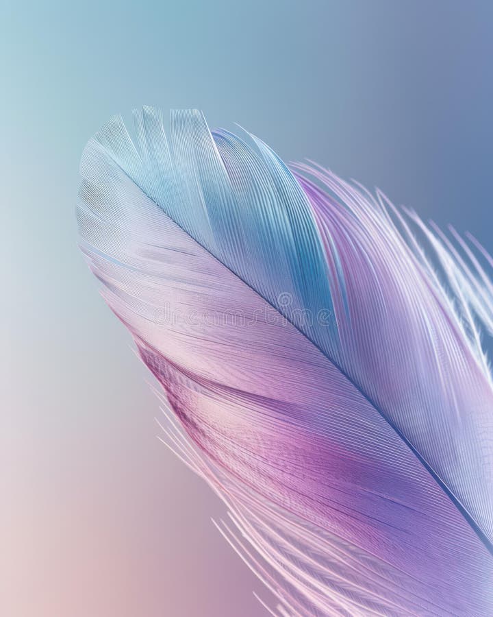 Close-Up of Colorful Feather, Soft Pastel Gradient Background Stock ...