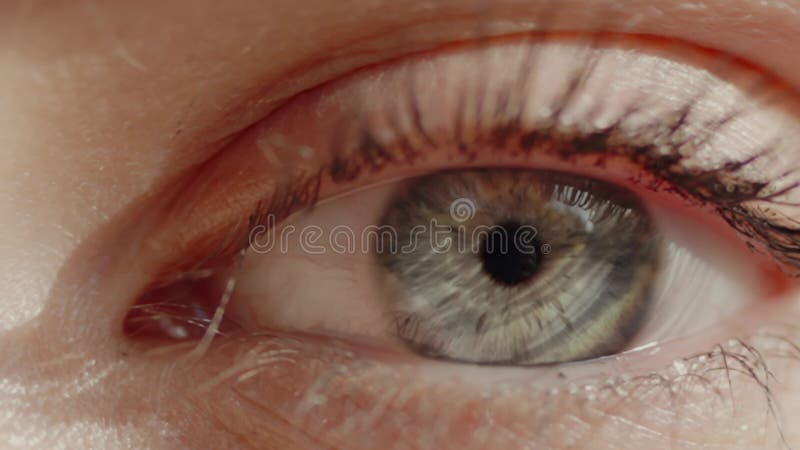 Close-Up View of a Human Eye with Detailed Iris Textures Stock Video ...