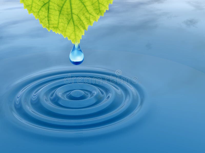Drop Water Falling Green Leaf Stock Illustrations – 1,045 Drop Water ...