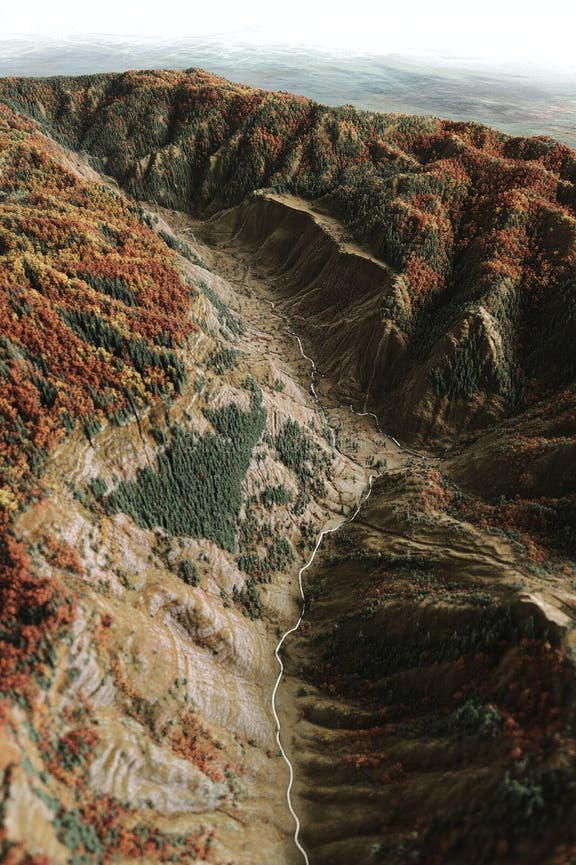 High-resolution GIS Aerial Visualization of a Forest with Elevation ...