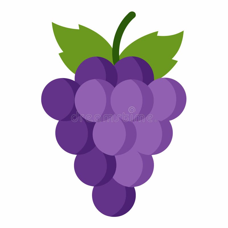 High-Resolution Grape Vector Art for Print Stock Vector - Illustration ...