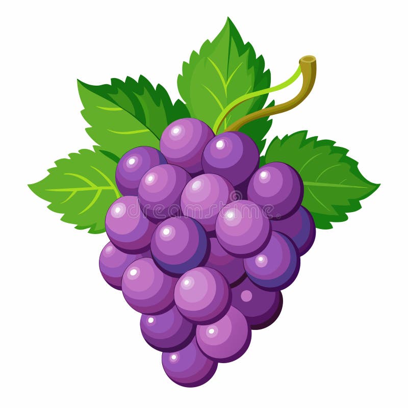 High-Resolution Grape Vector Art for Print Stock Vector - Illustration ...