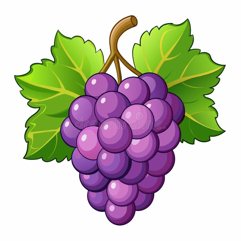 High-Resolution Grape Vector Art for Print Stock Vector - Illustration ...