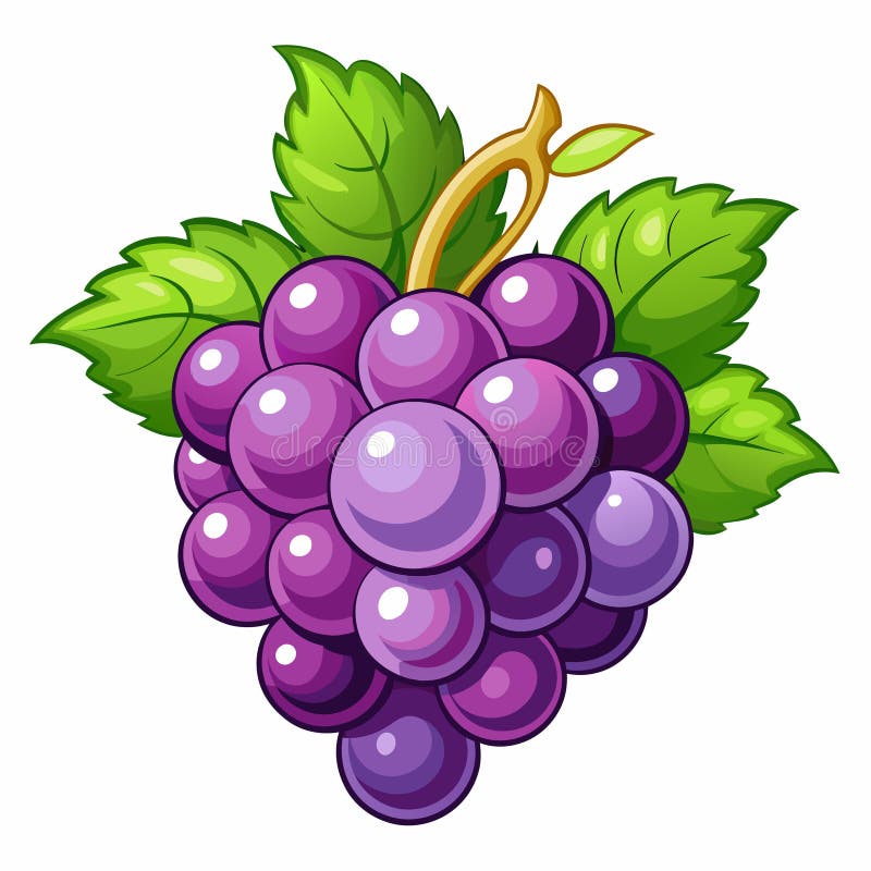 High-Resolution Grape Vector Art for Print Stock Vector - Illustration ...