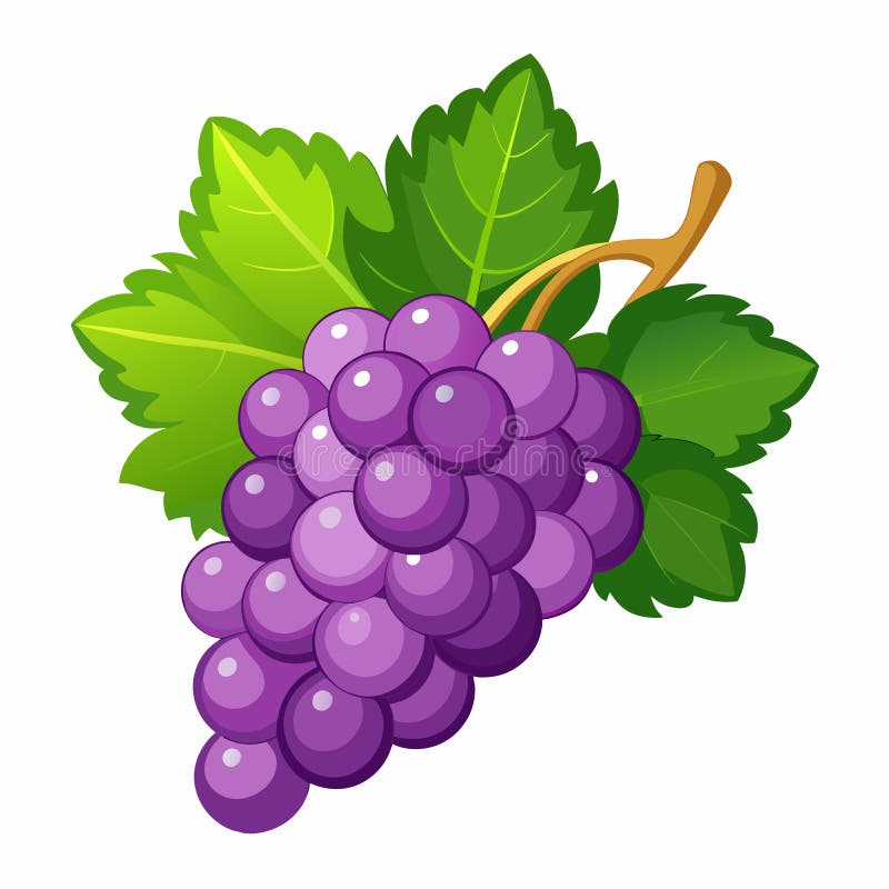 High-Resolution Grape Vector Art for Print Stock Vector - Illustration ...