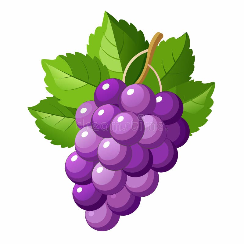 High-Resolution Grape Vector Art for Print Stock Vector - Illustration ...