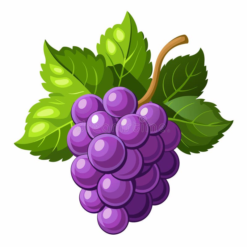 High-Resolution Grape Vector Art for Print Stock Vector - Illustration ...