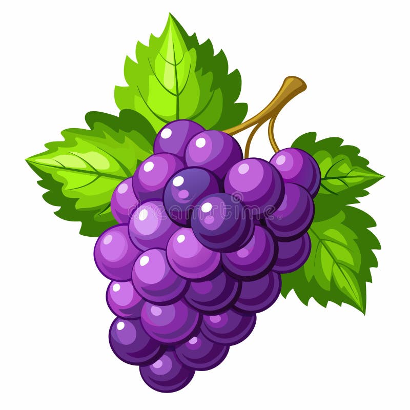 High-Resolution Grape Vector Art for Print Stock Vector - Illustration ...