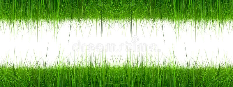 High Resolution Grass Isolated Stock Photo - Image of fresh, lawn: 17483318