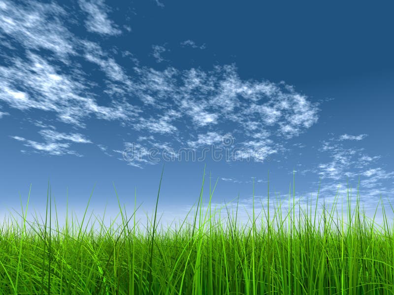 110+ High resolution grass Free Stock Photos - StockFreeImages