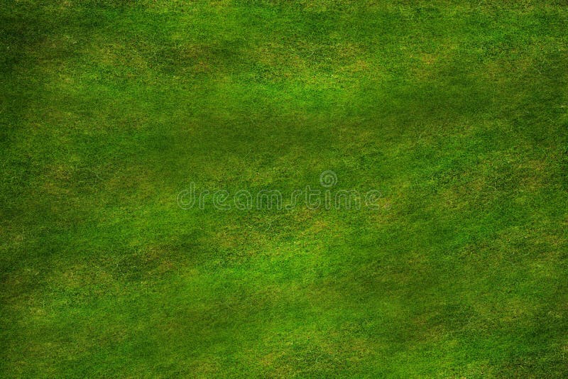 High Resolution Grass stock photo. Image of grass, nature - 40876050