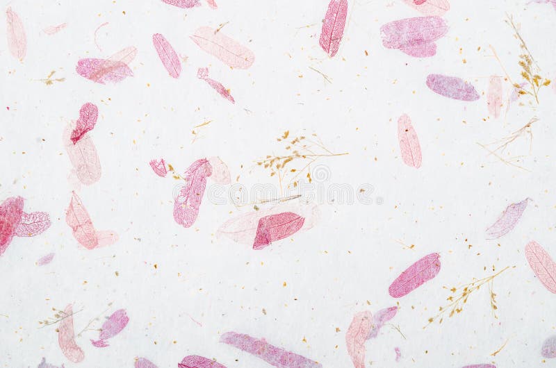 The High Resolution Handmade Paper or Mulberry Paper Texture As ...