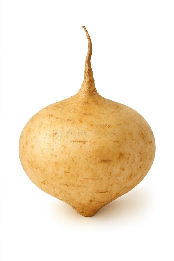 Clean High Resolution Composition Ideal Stock Illustrations – 5,269 ...