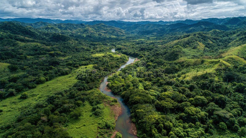 1,168 Amazonian River Jungle View Stock Photos - Free & Royalty-Free ...