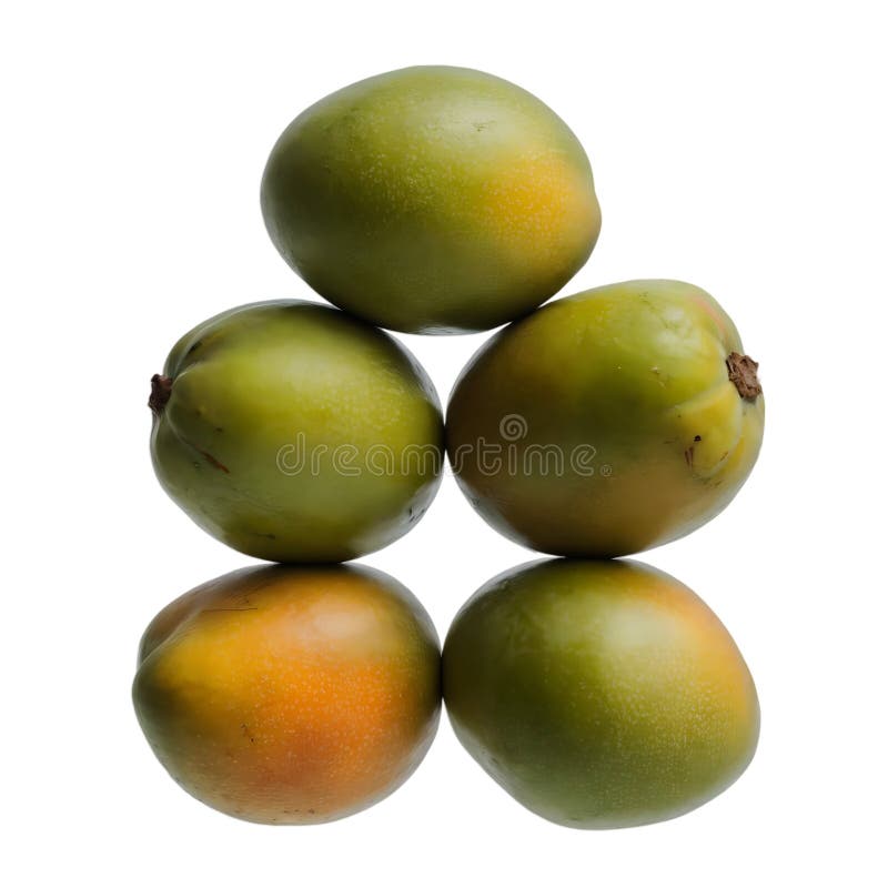High-Resolution Image of Green Mango Cluster – Unripe Mangoes in ...