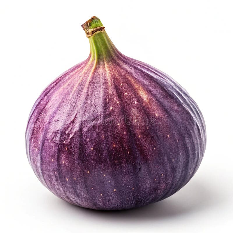 Single Fig with Purple Skin on Transparent Background Stock ...