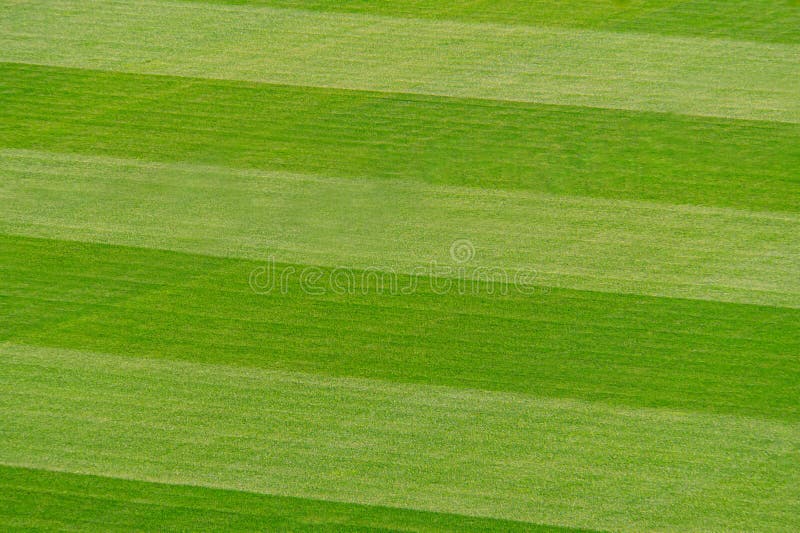 A High-resolution Image of a Well-maintained Baseball Field, Showcasing ...