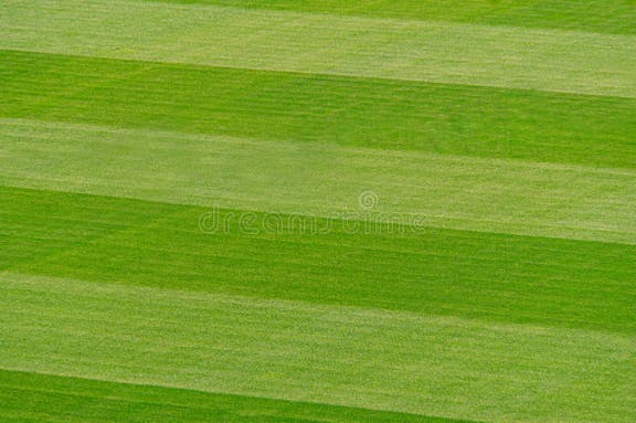 A High-resolution Image of a Well-maintained Baseball Field, Showcasing ...