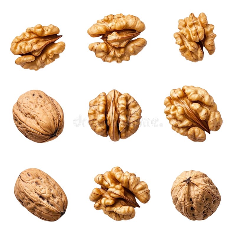 Collection of Walnuts Various Angles High Resolution Set Food View Diet ...
