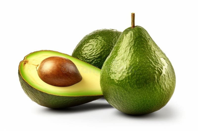 Avocado Isolated on White Background Stock Illustration - Illustration ...