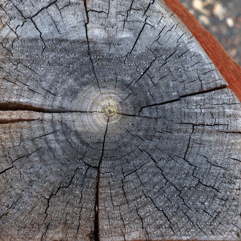 High Resolution of an Old Wooden Fence Post Stock Photo - Image of ...