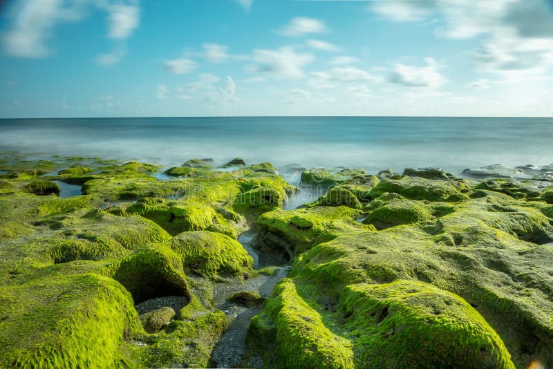 High Resolution Photo of the Ocean with Green Rocks on Shore. Stock ...