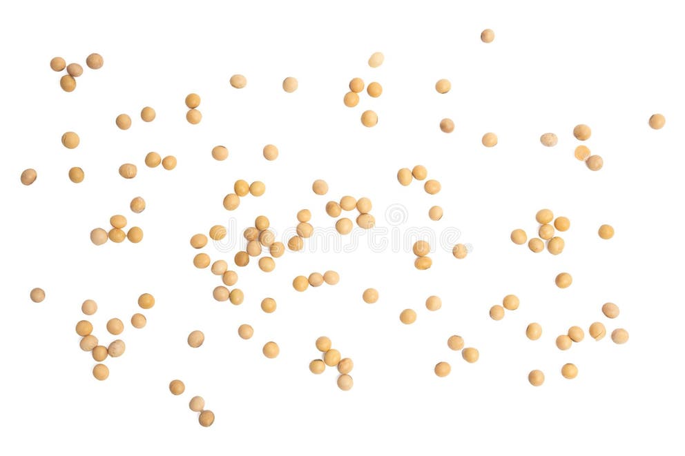 The High-resolution Photo of Soybeans, Isolate on White Background ...
