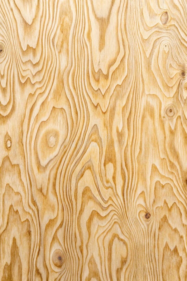 High Resolution Plywood Surface with Natural Wood Grain Texture Stock ...