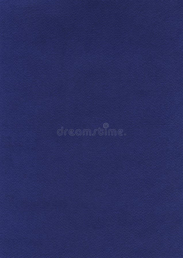 Midnight Blue Floral Pattern: Artistic Botanical Wallpaper Design Stock ...