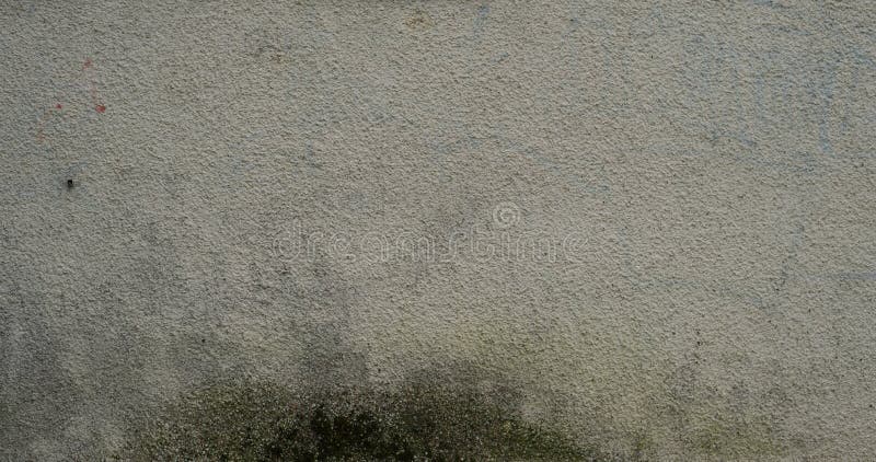 High Resolution, Seamless Texture of a Textured Plaster . Good Texture ...