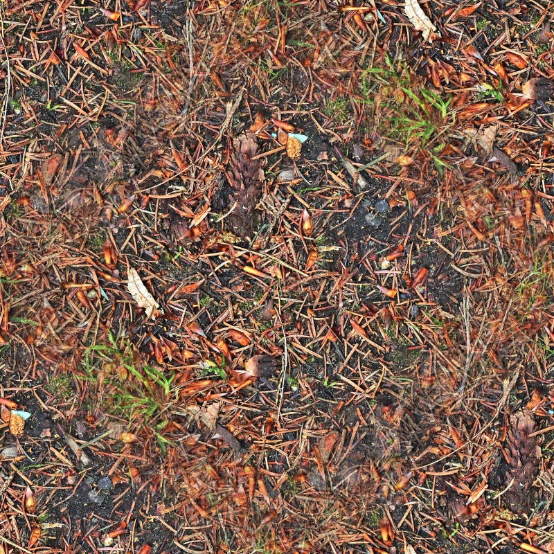 High Resolution Seemless Texture of Forest Ground with Autumn Leaves ...