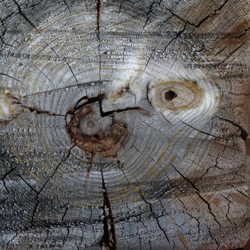 High Resolution Shot of White Grain Texture with a Lot of Cracks and ...