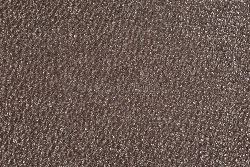 High Resolution Texture. Background. Skin. Stock Photo - Image of ...