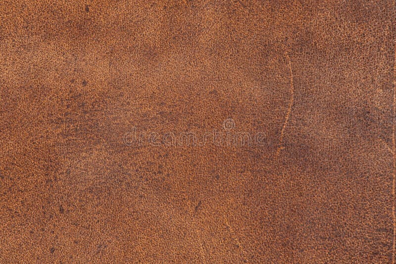 High Resolution Texture. Background. Skin. Stock Photo - Image of ...