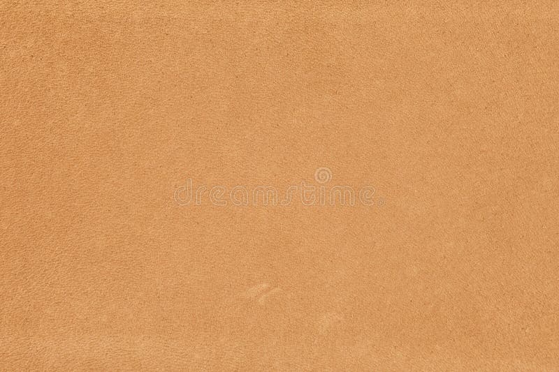 High Resolution Texture. Background. Skin. Stock Photo - Image of ...