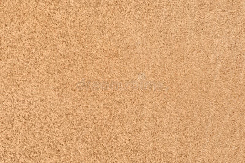 High Resolution Texture. Background. Skin. Stock Image - Image of ...