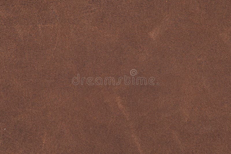 High Resolution Texture. Background. Skin. Stock Image - Image of ...
